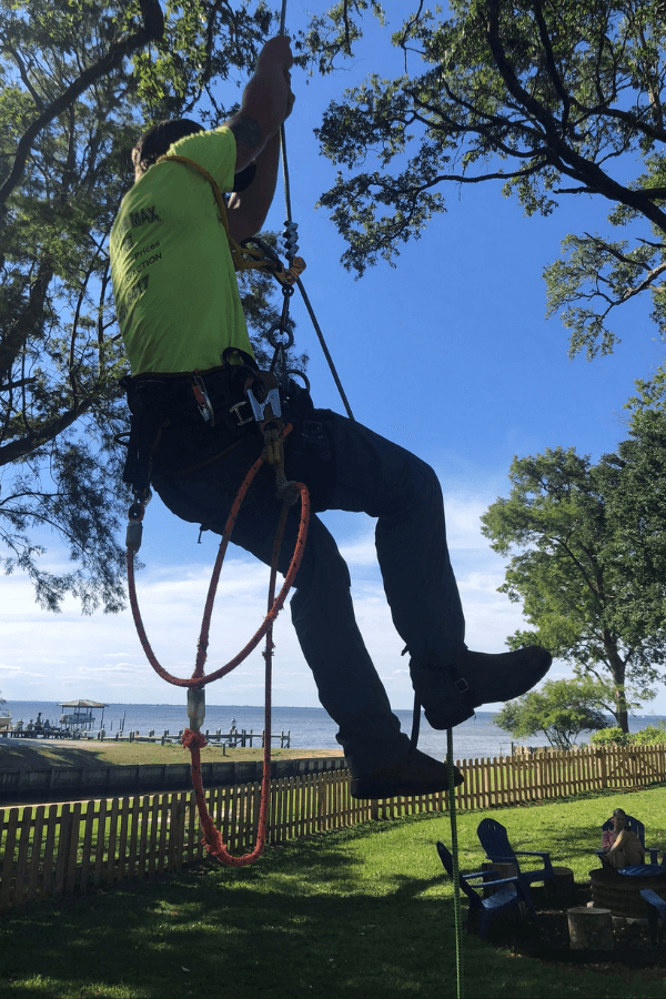 Tree Cowboys & Landscaping, LLC Navarre FL Tree & Irrigation Services