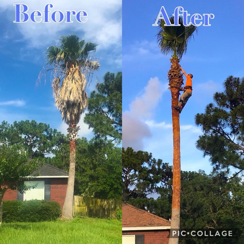 Tree Cowboys & Landscaping, LLC Navarre FL Tree & Irrigation Services